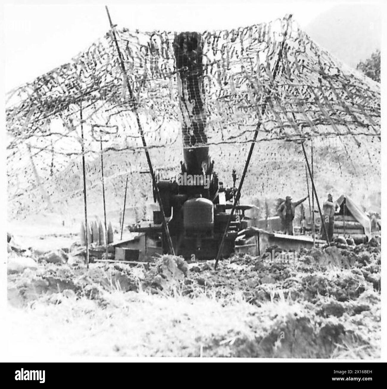 Net of shells Black and White Stock Photos & Images - Alamy