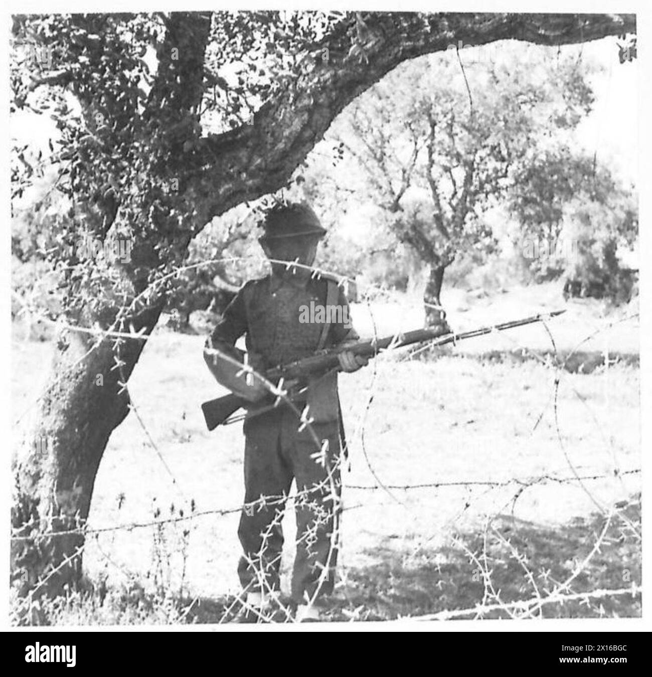 FIFTH ARMY : ANZIO BRIDGEHEAD THE BATTLE AGAINST MALARIA - Men on night ...