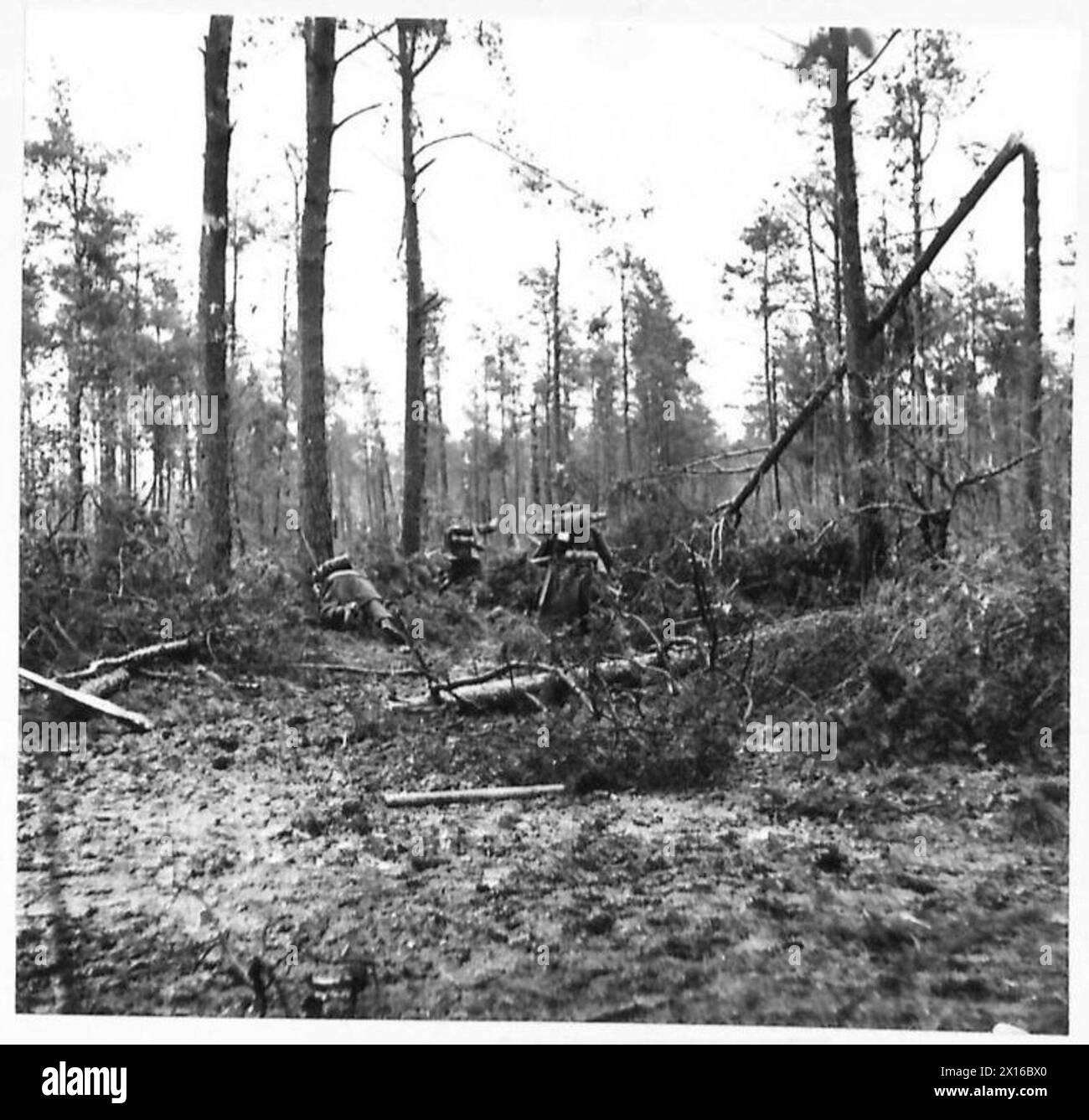 BRITISH TROOPS ENTER GERMANY - Immediately behind is the Reichwald ...