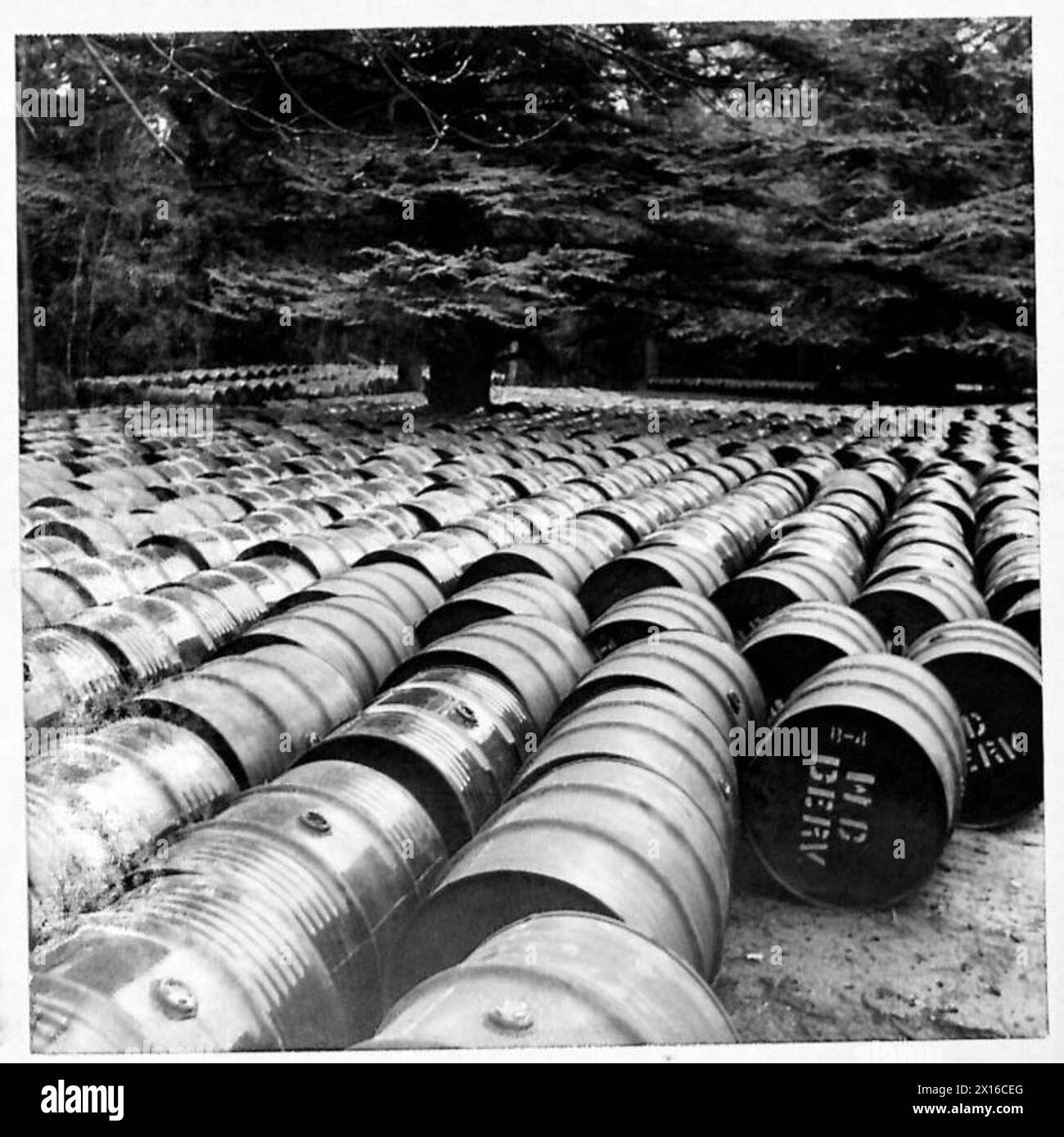 Drums of oil are stored under tree cover at a petrol storage dump on ...