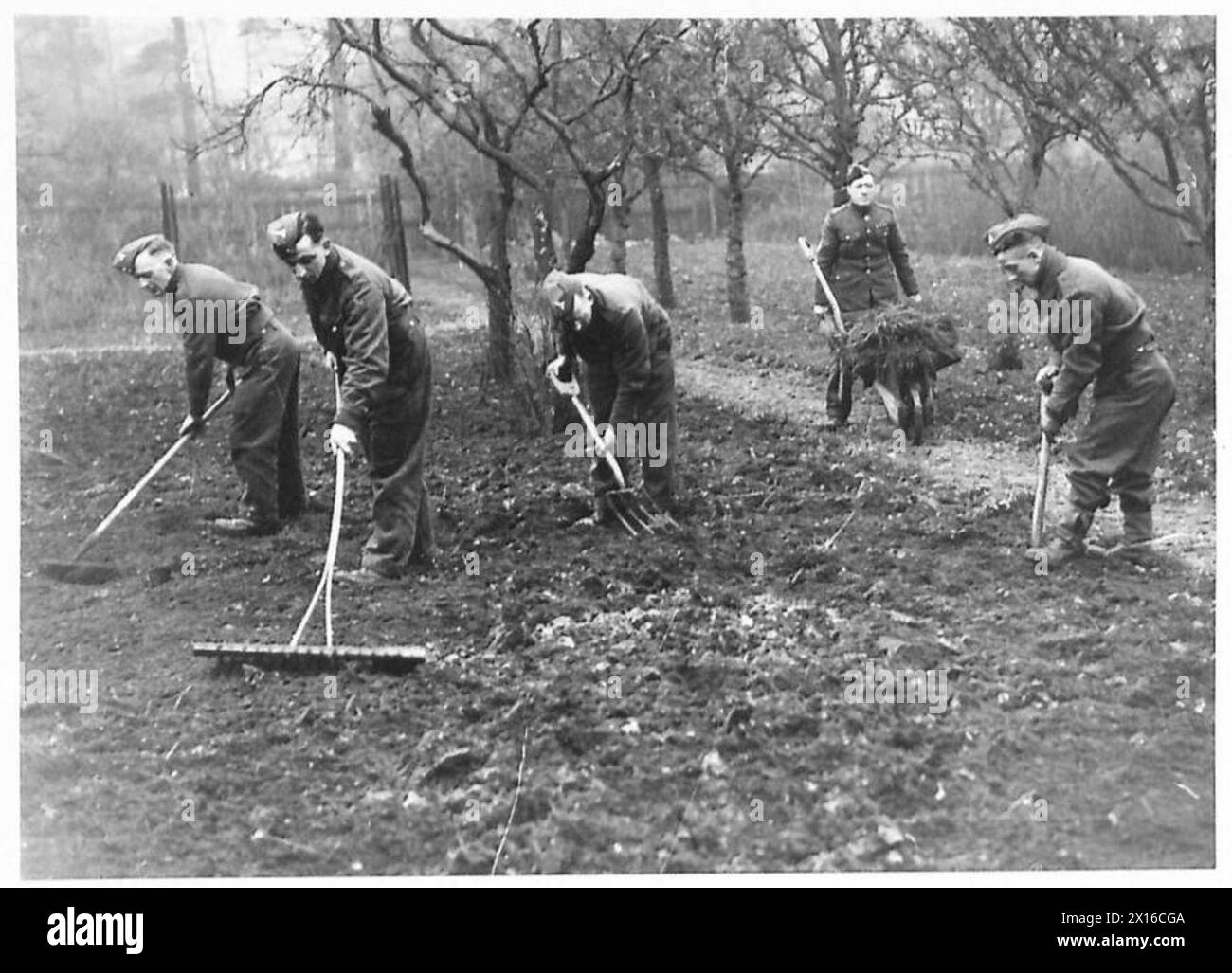 SOLDIERS DIG FOR VICTORY - Soldiers preparing ground for vegetable ...