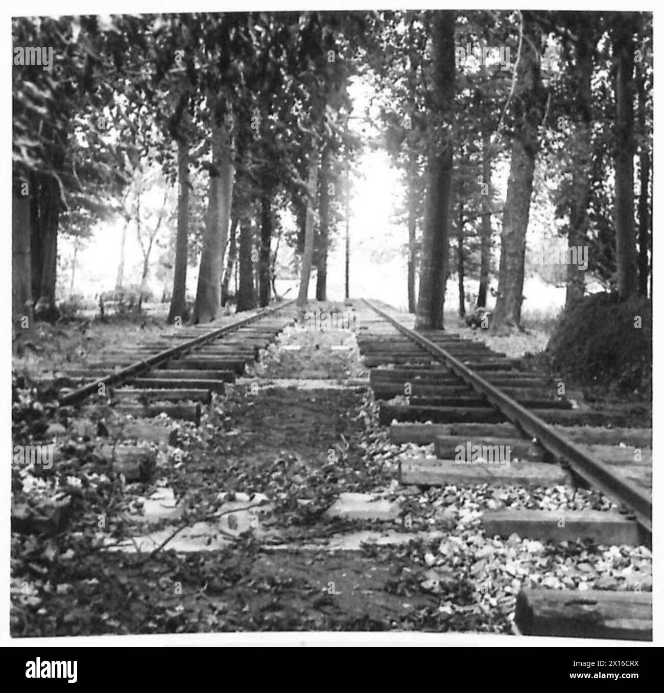 WRECKED FLYING BOMB SITES - Launching rails on a site not quite ...
