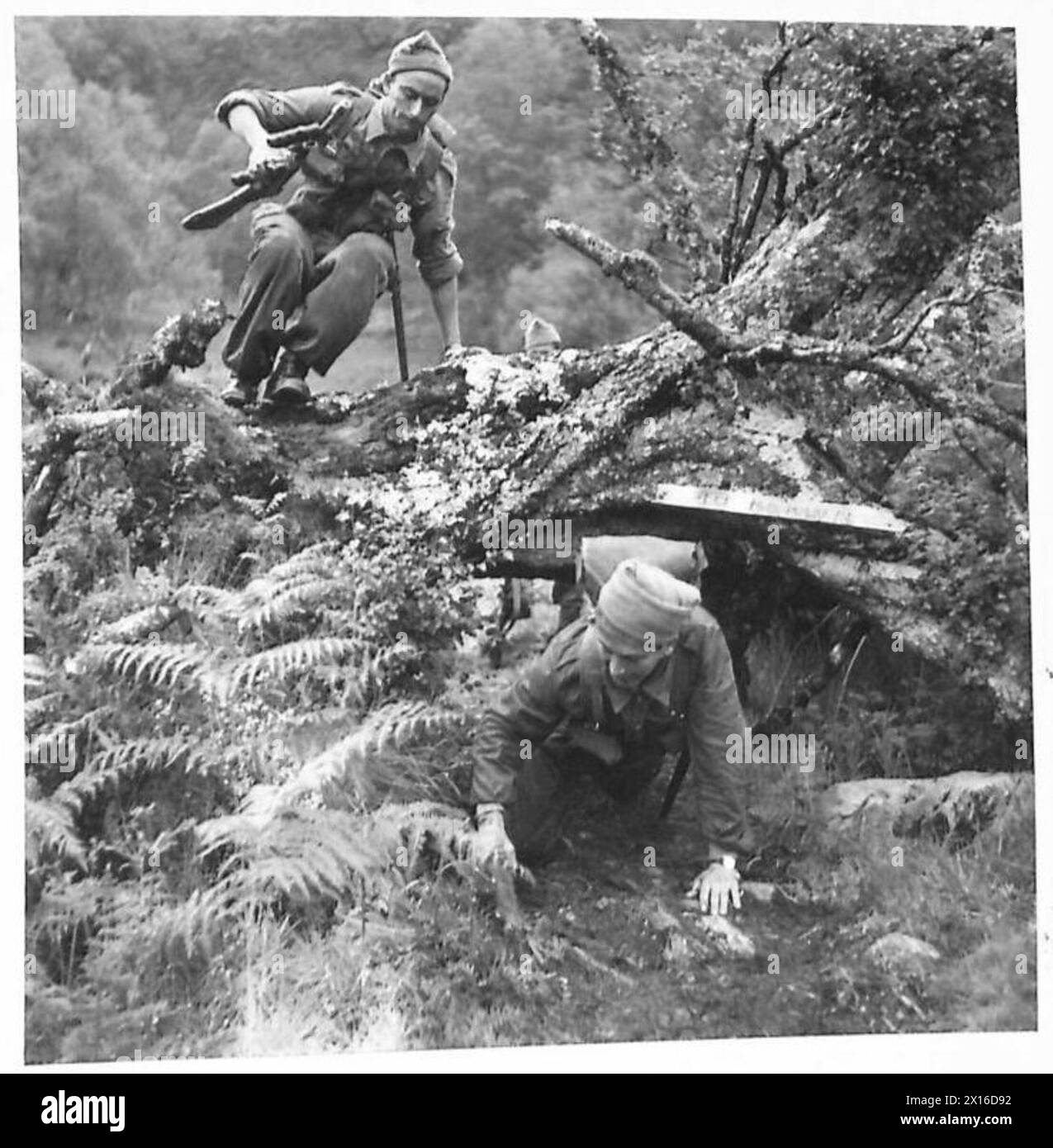 Crawling under fallen tree hi-res stock photography and images - Alamy