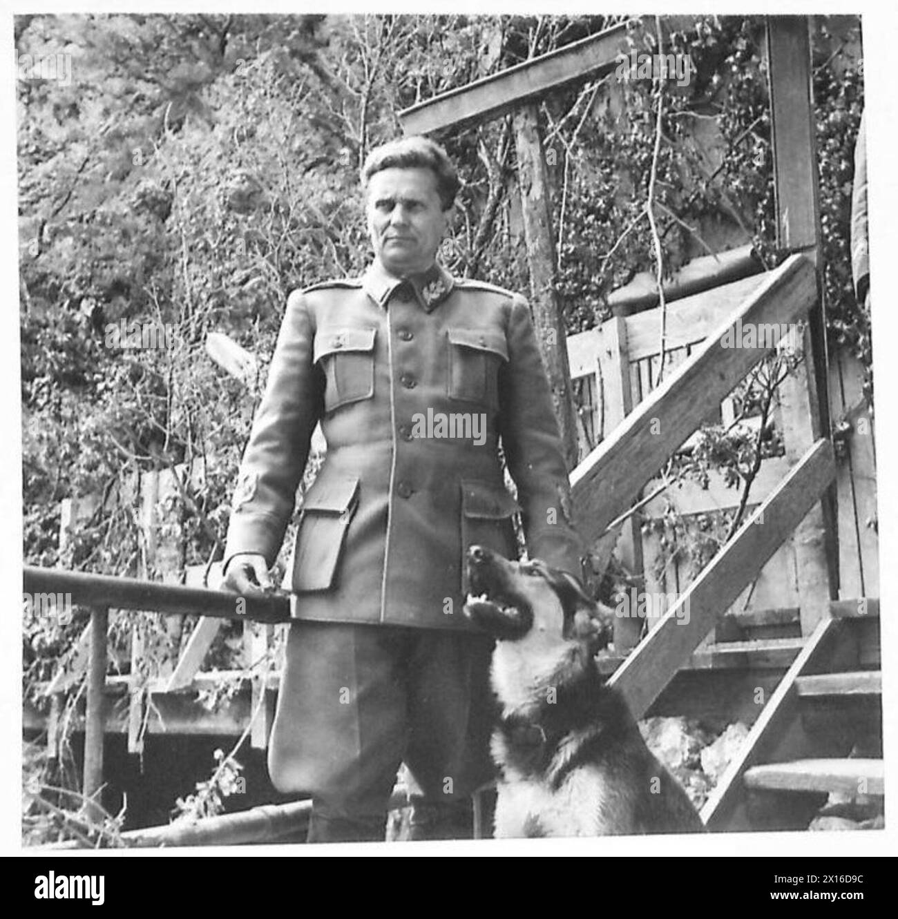 Marshal Tito is shown with his German police dog named Tiger during ...