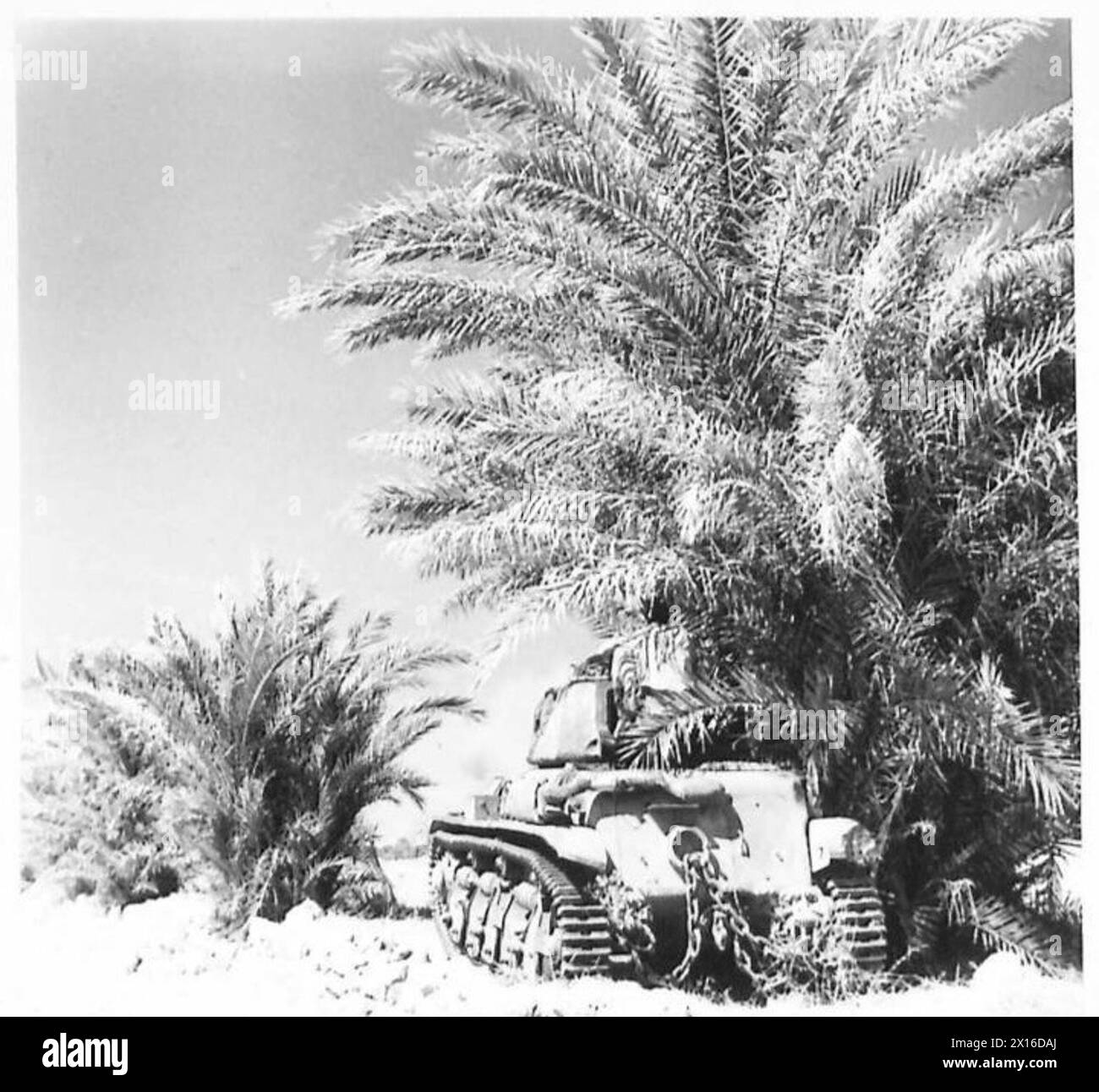 BRITISH ADVANCE INTO SYRIA - A captured Vichy French tank which is now ...