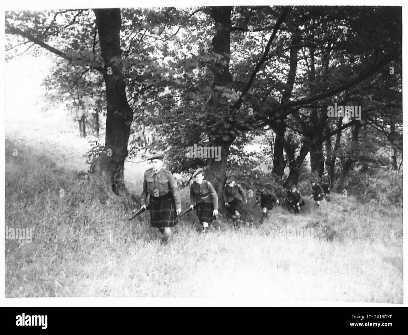 Liverpool Scottish cadets advance in single file through tree cover ...