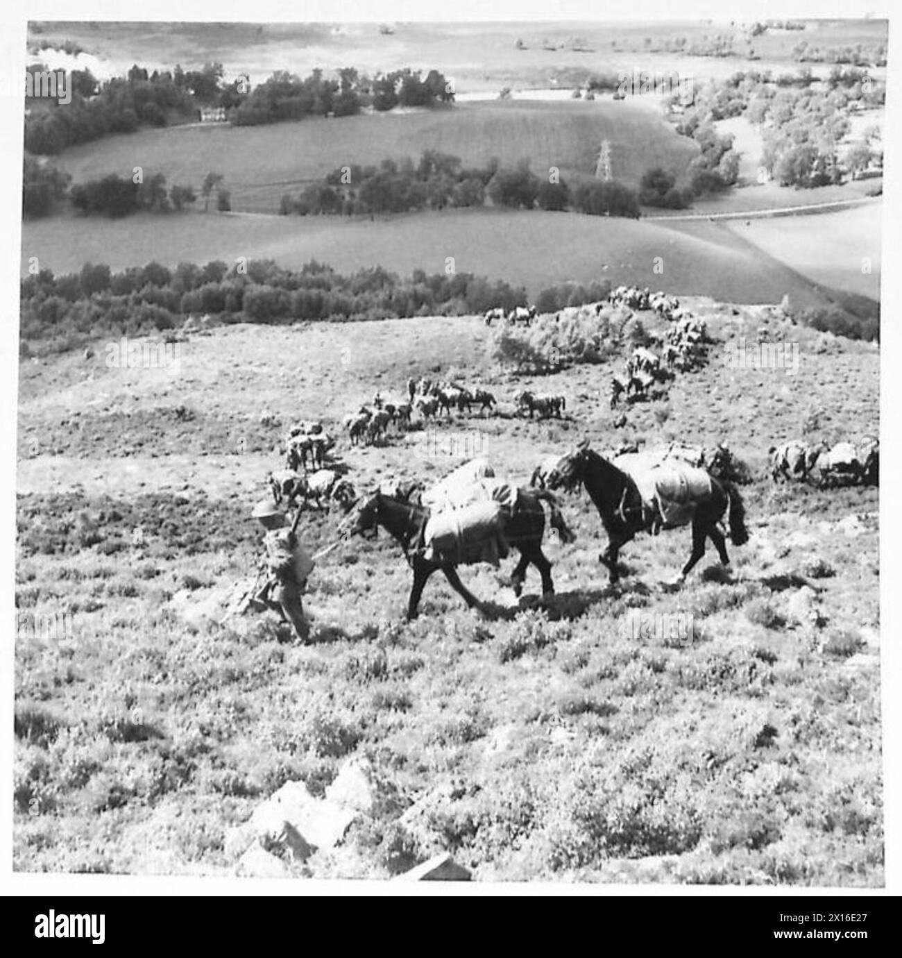 ROYAL INDIAN ARMY SERVICE CORPS - Through bracken and over rough stoney ...