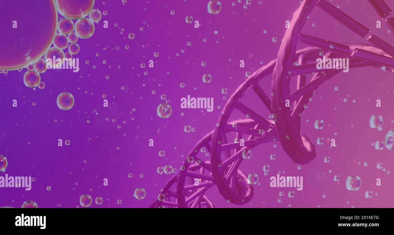 Image of bubbles over dna strand on purple background Stock Photo - Alamy