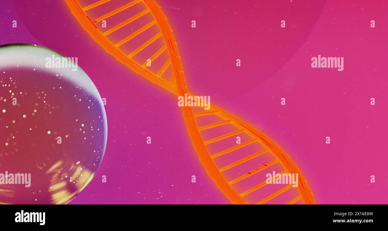 Image of bubbles and dna strand on purple background Stock Photo - Alamy