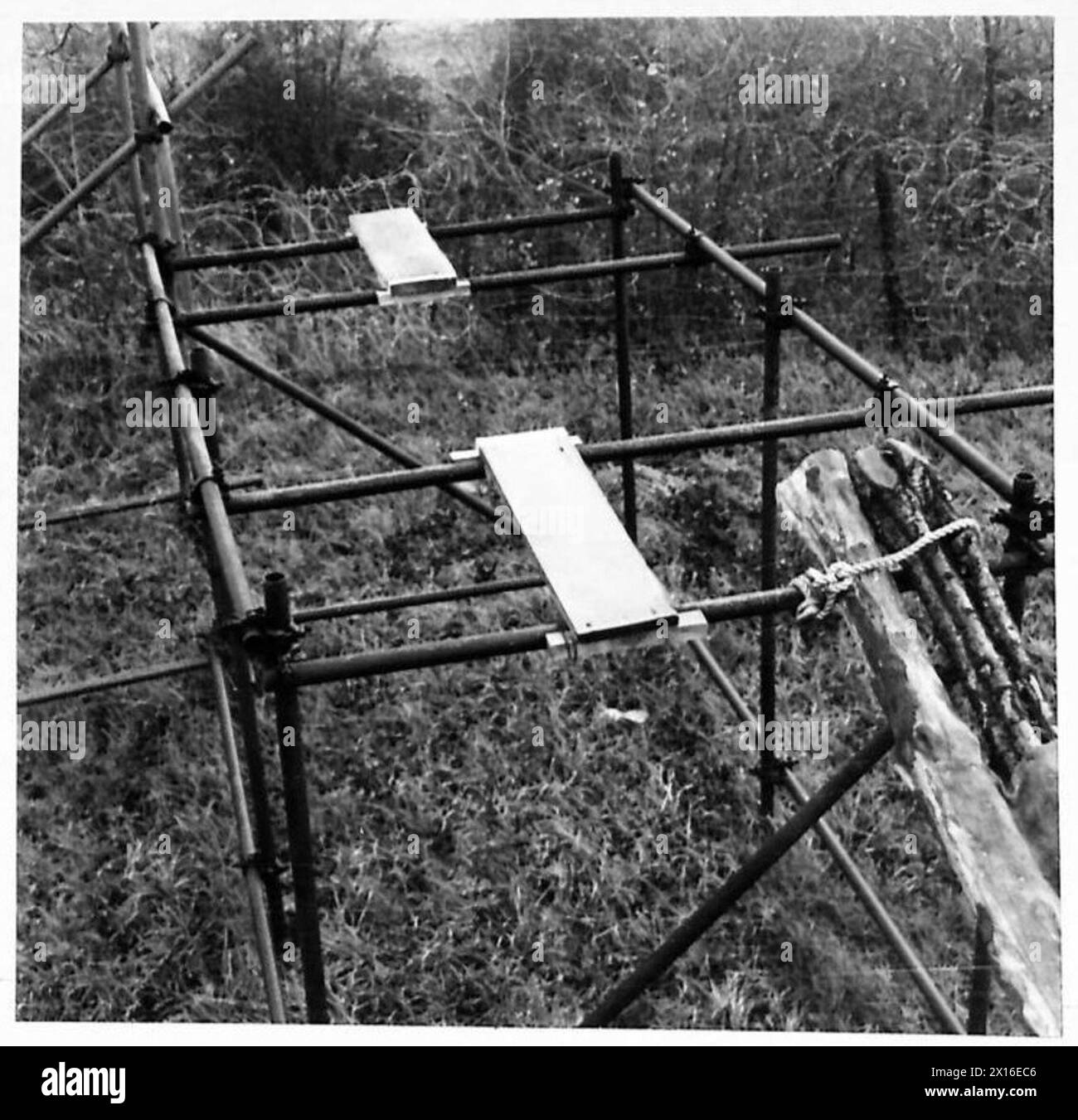 Candidate program Cut Out Stock Images & Pictures - Alamy