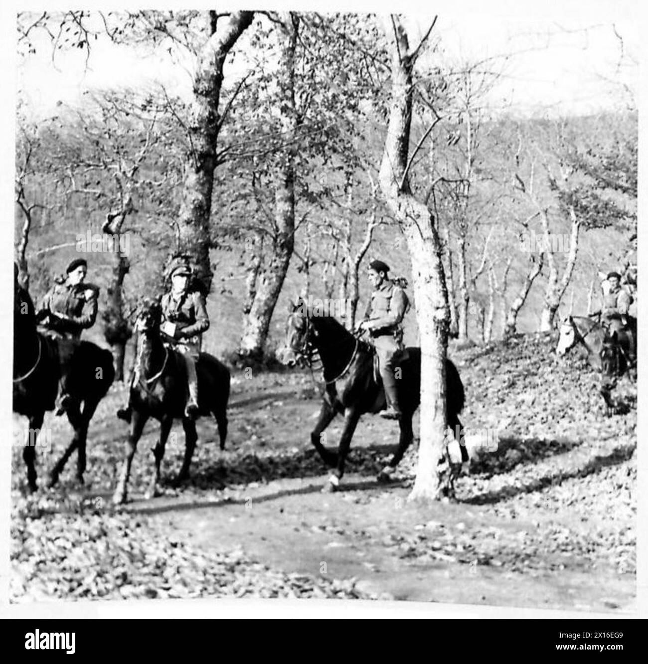 British country lanes Cut Out Stock Images & Pictures - Alamy