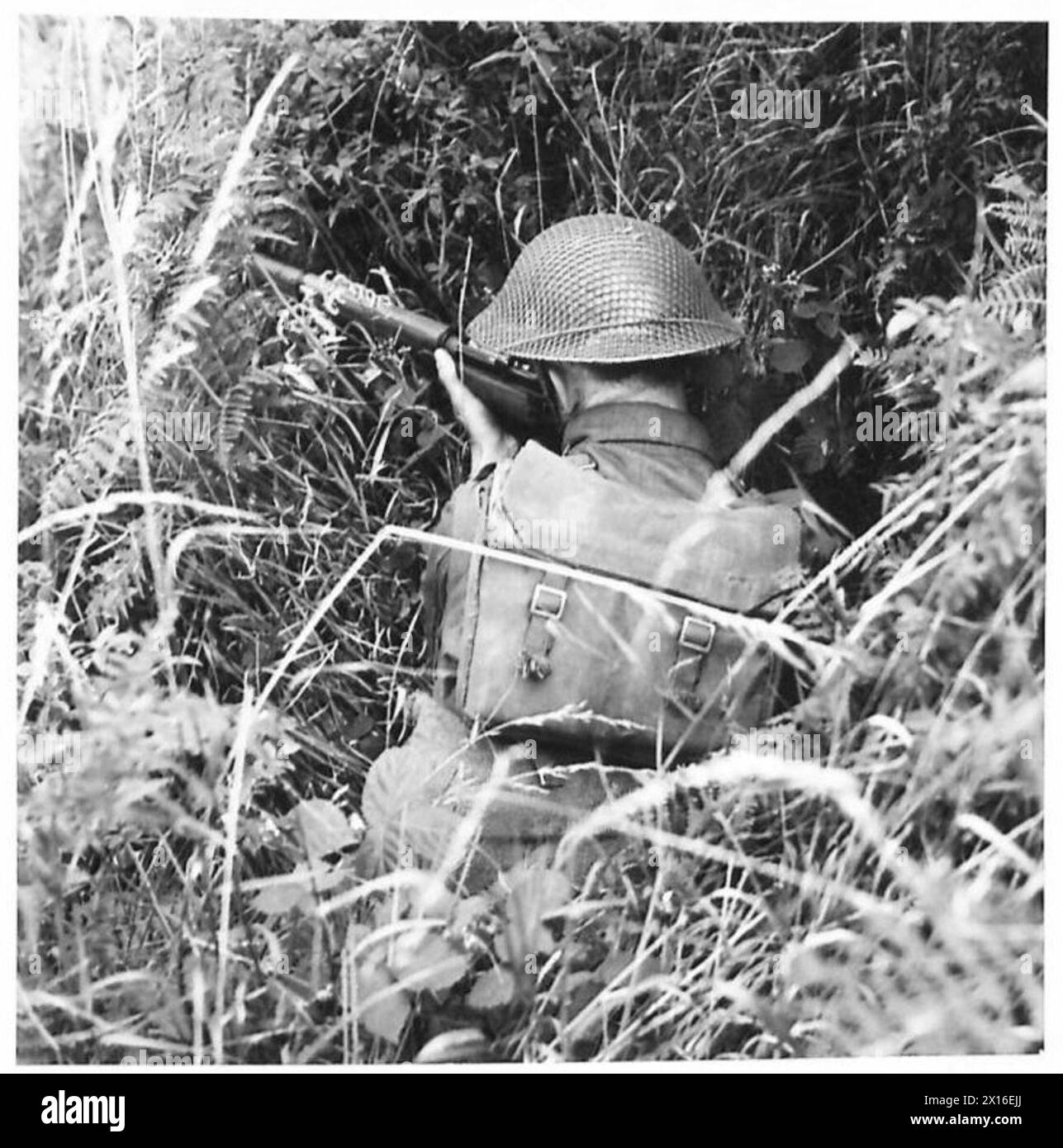 BATTLE SCHOOL EXERCISE - A soldier keeps a sharp look-out from a hedge ...