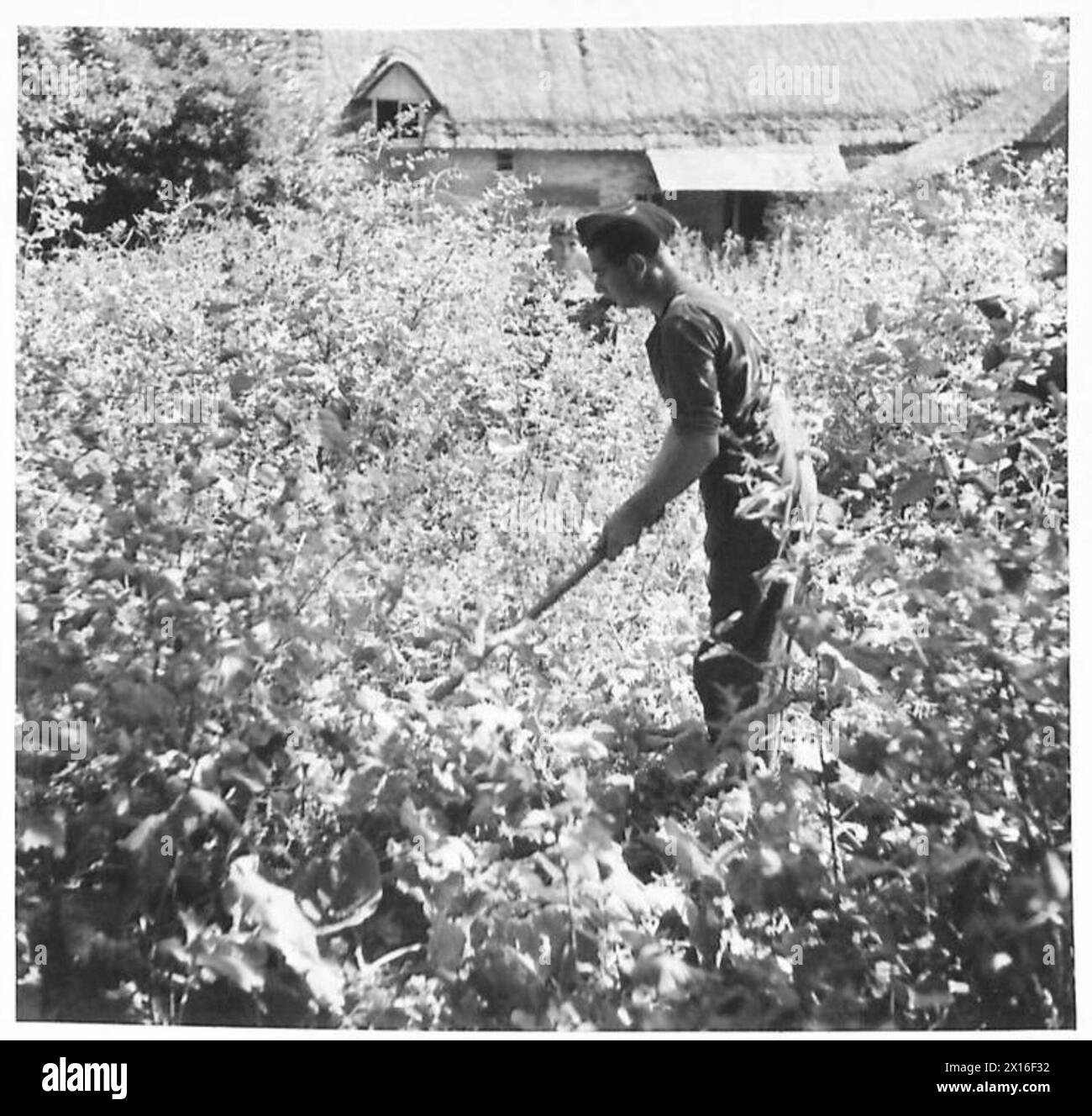 Cultivation ground Black and White Stock Photos & Images - Alamy