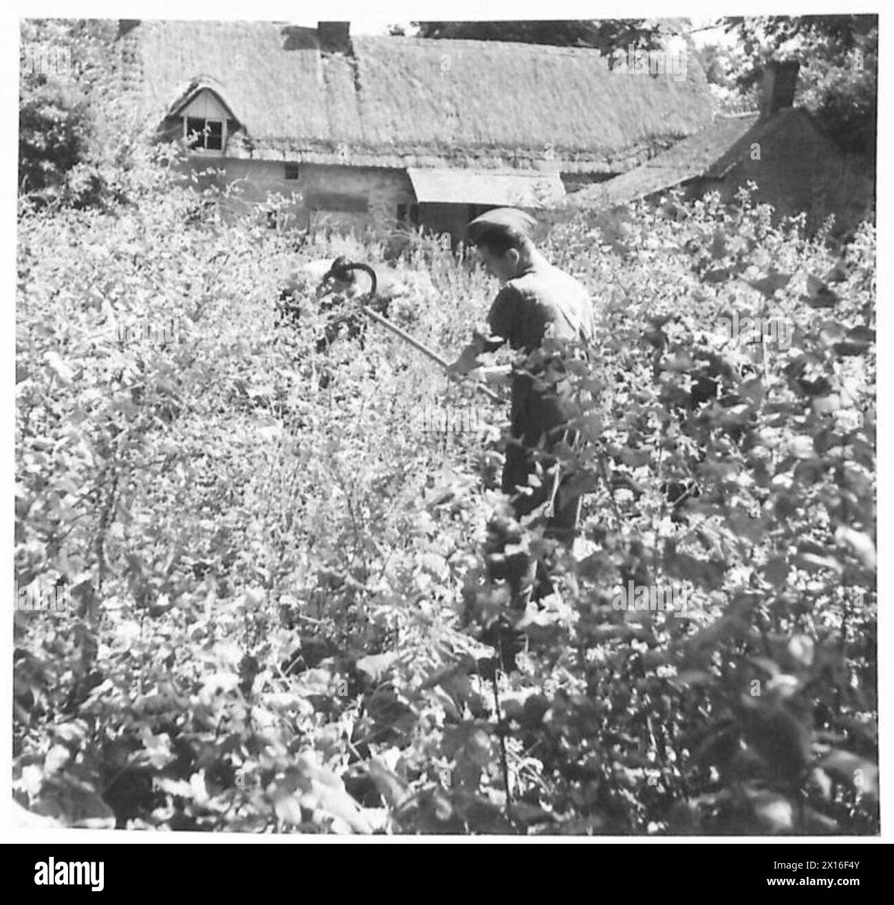 Prepare field planting land cultivation Black and White Stock Photos ...