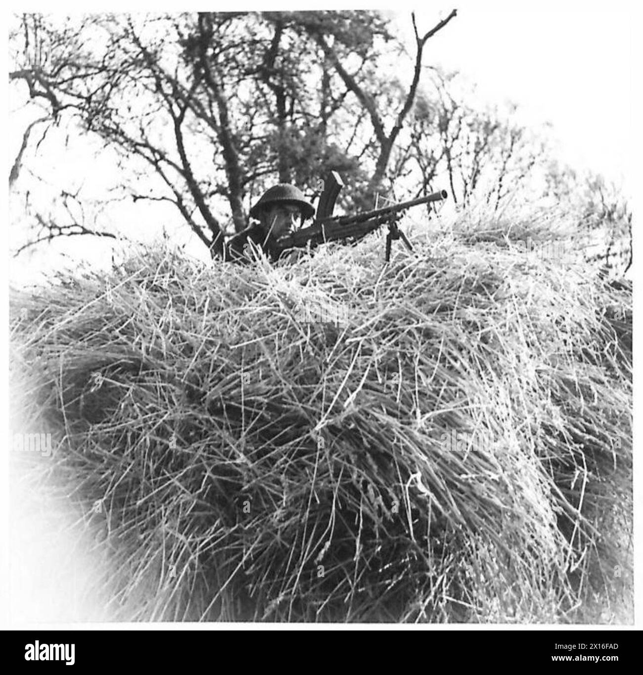 SPARTAN EXERCISE - A British sniper, with Bren gun, concealed on the ...