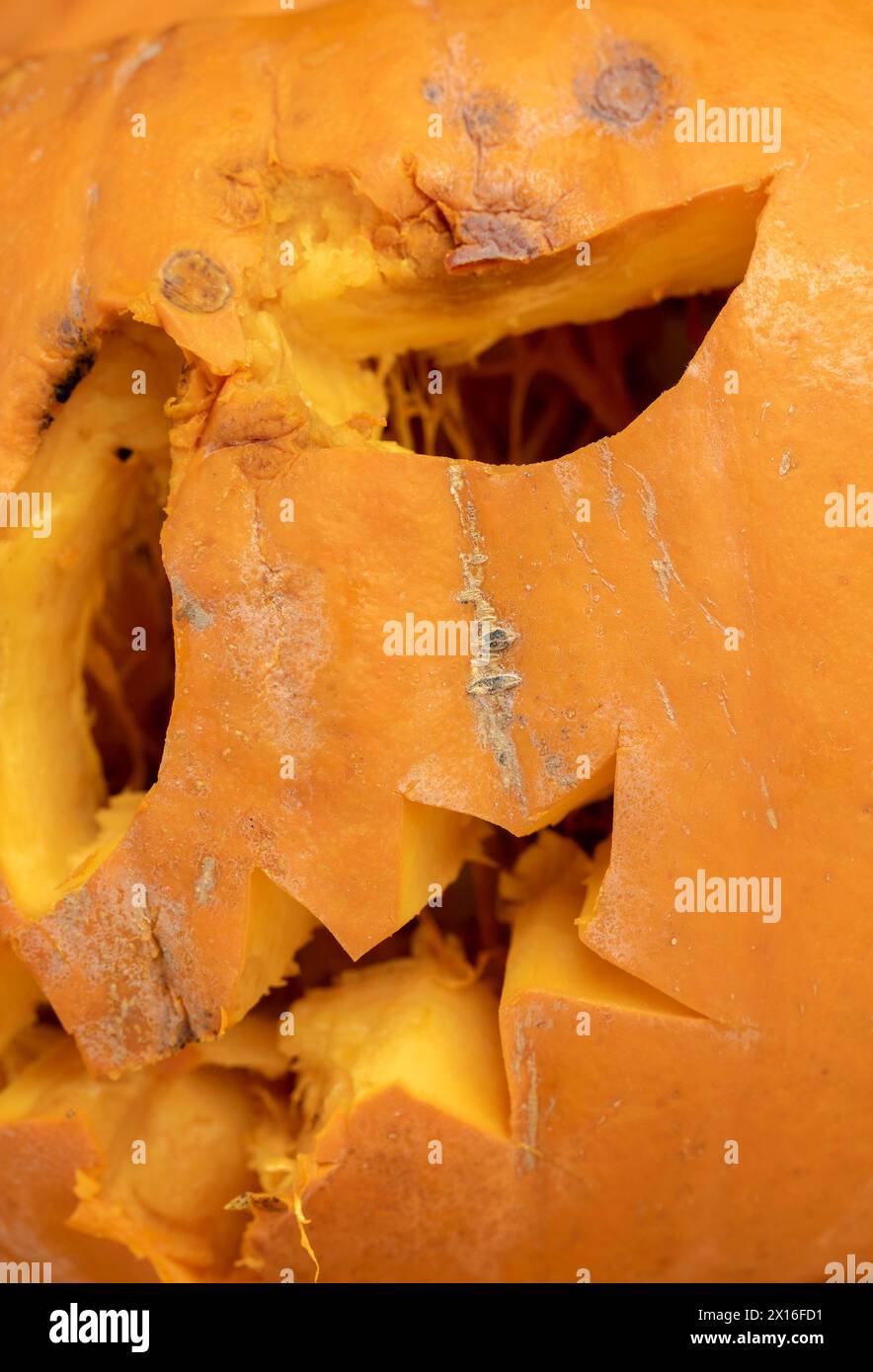 Spoiled jack fruit hi-res stock photography and images - Alamy