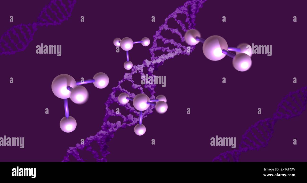Image of molecules and dna strands on purple background Stock Photo - Alamy