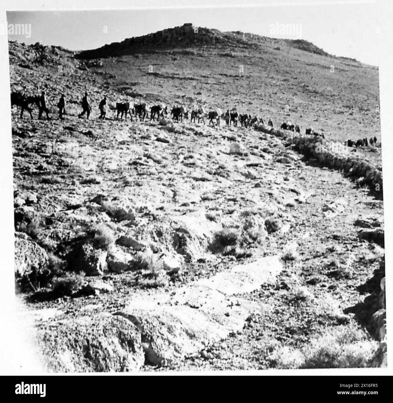 Marine corps carry team Black and White Stock Photos & Images - Alamy
