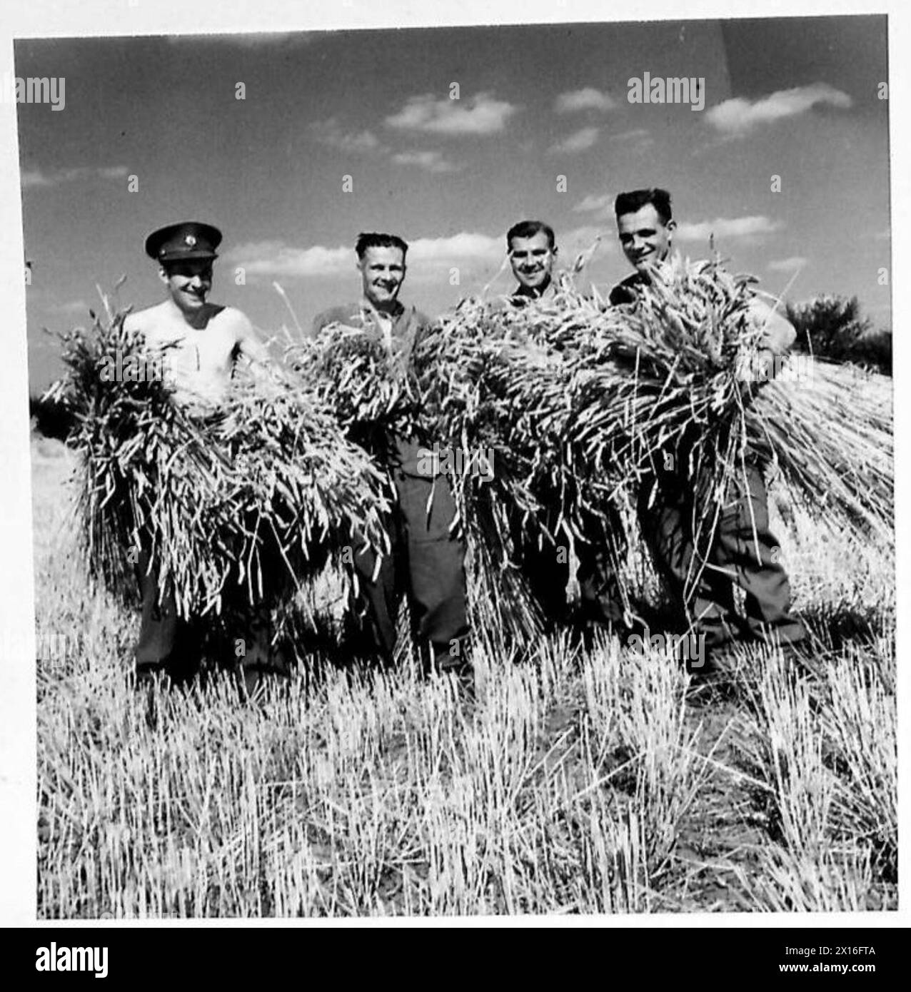 TROOPS HELP FARMERS WITH HARVEST - The troops cheerfully helped the ...