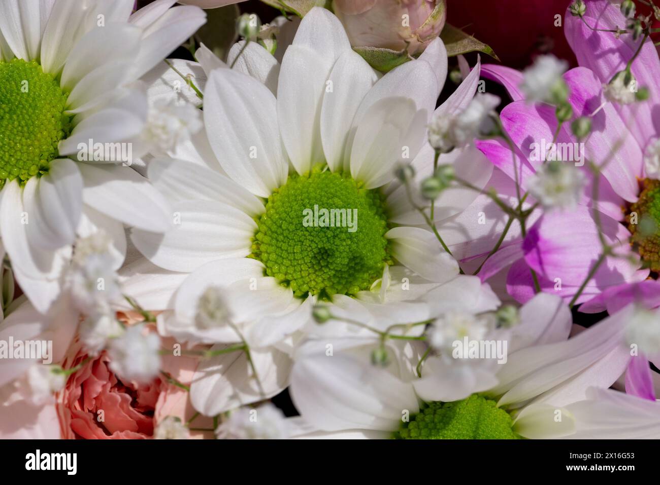 a beautiful bouquet combined with different flowers, a festive bouquet ...