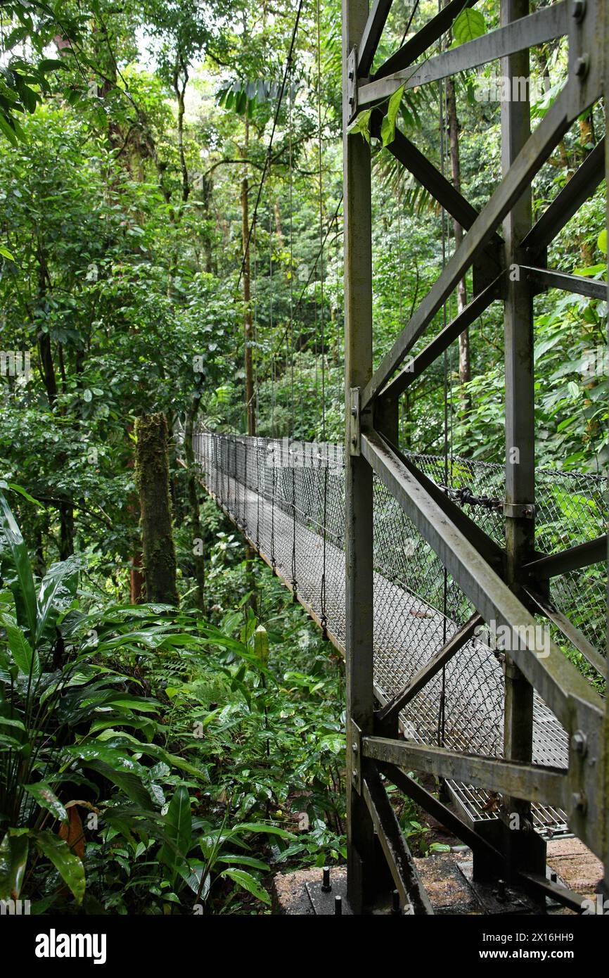 Arenal Hanging Bridges Rainforest Canopy Park, La Fortuna, Alajuela ...