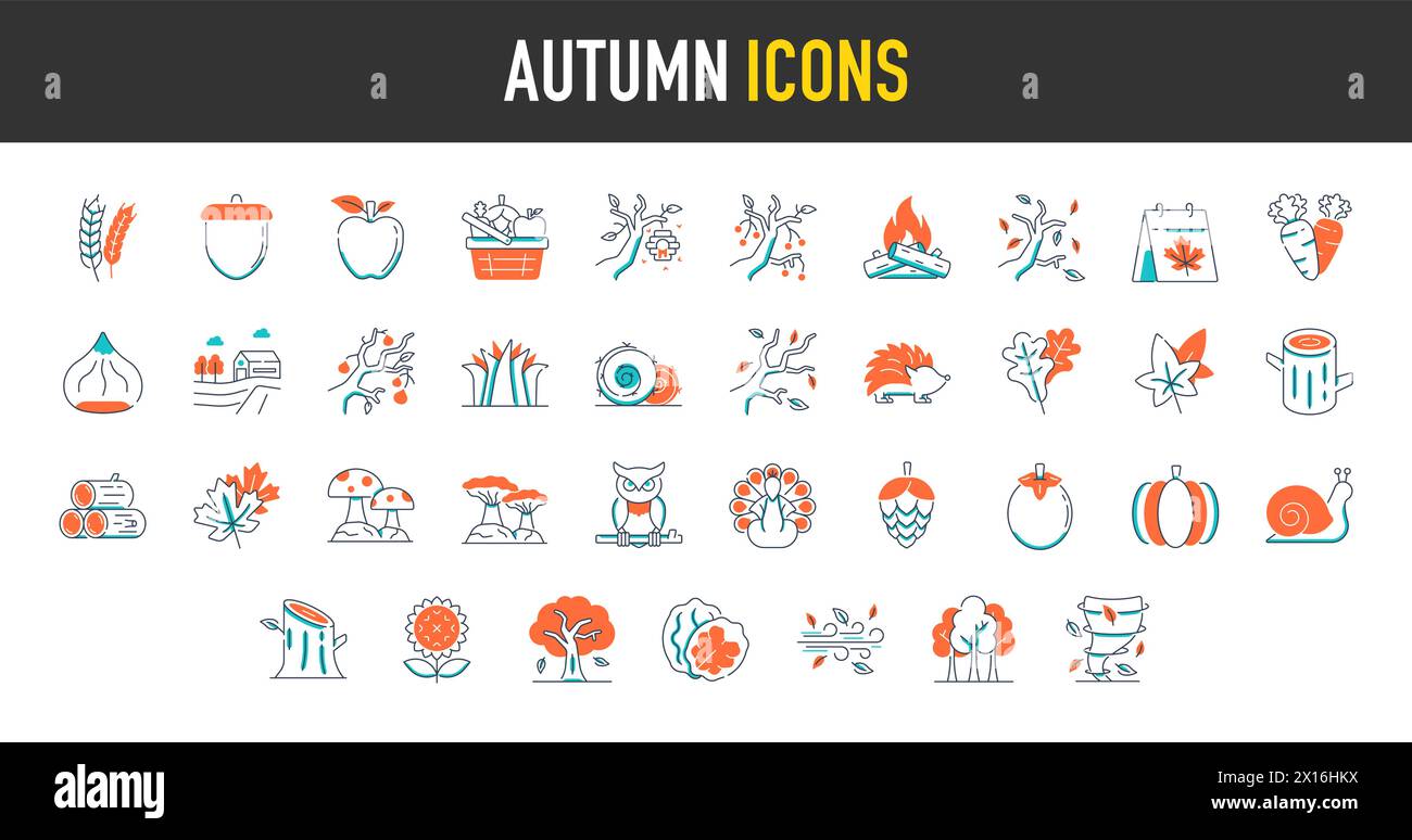 Set of autumn icons. Collection of fall related objects, plants and ...