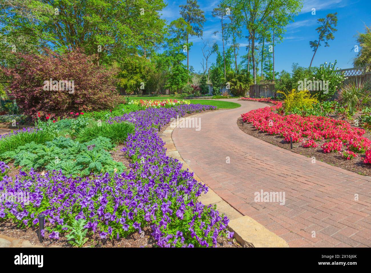 Garden path with spring flowers at Mercer Botanical Gardens Stock Photo ...