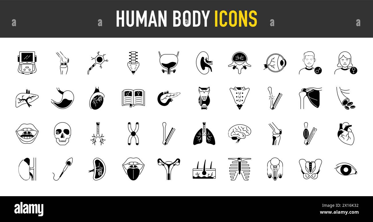 Bundle of body parts and organs icons. Human body vector illustration ...
