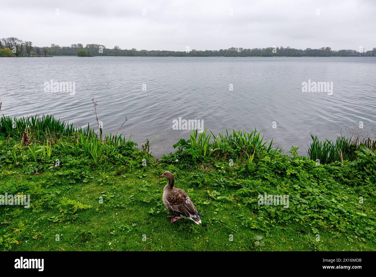 Central park am stausee hi-res stock photography and images - Alamy