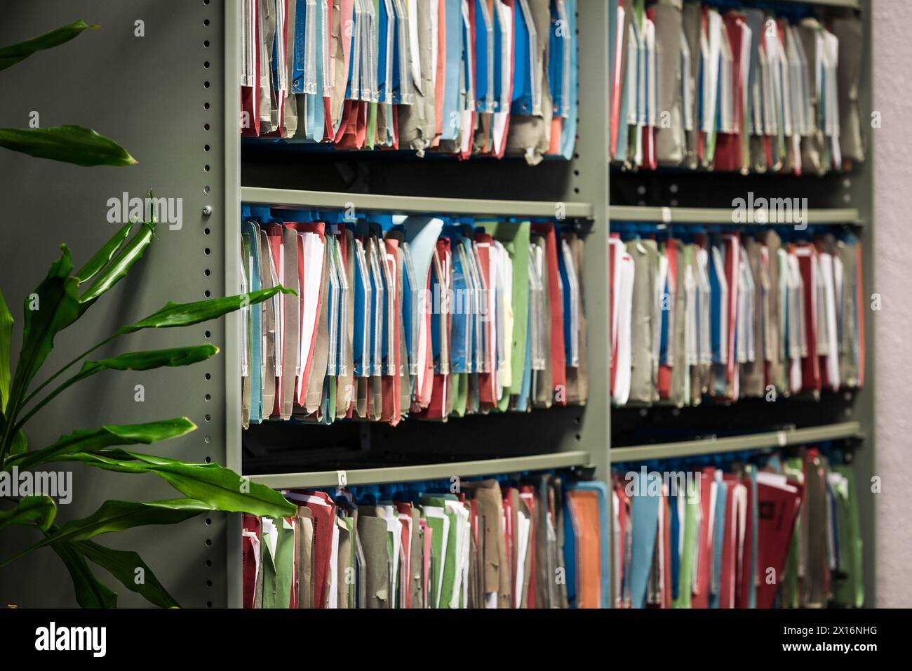 File storage in office Stock Photo - Alamy