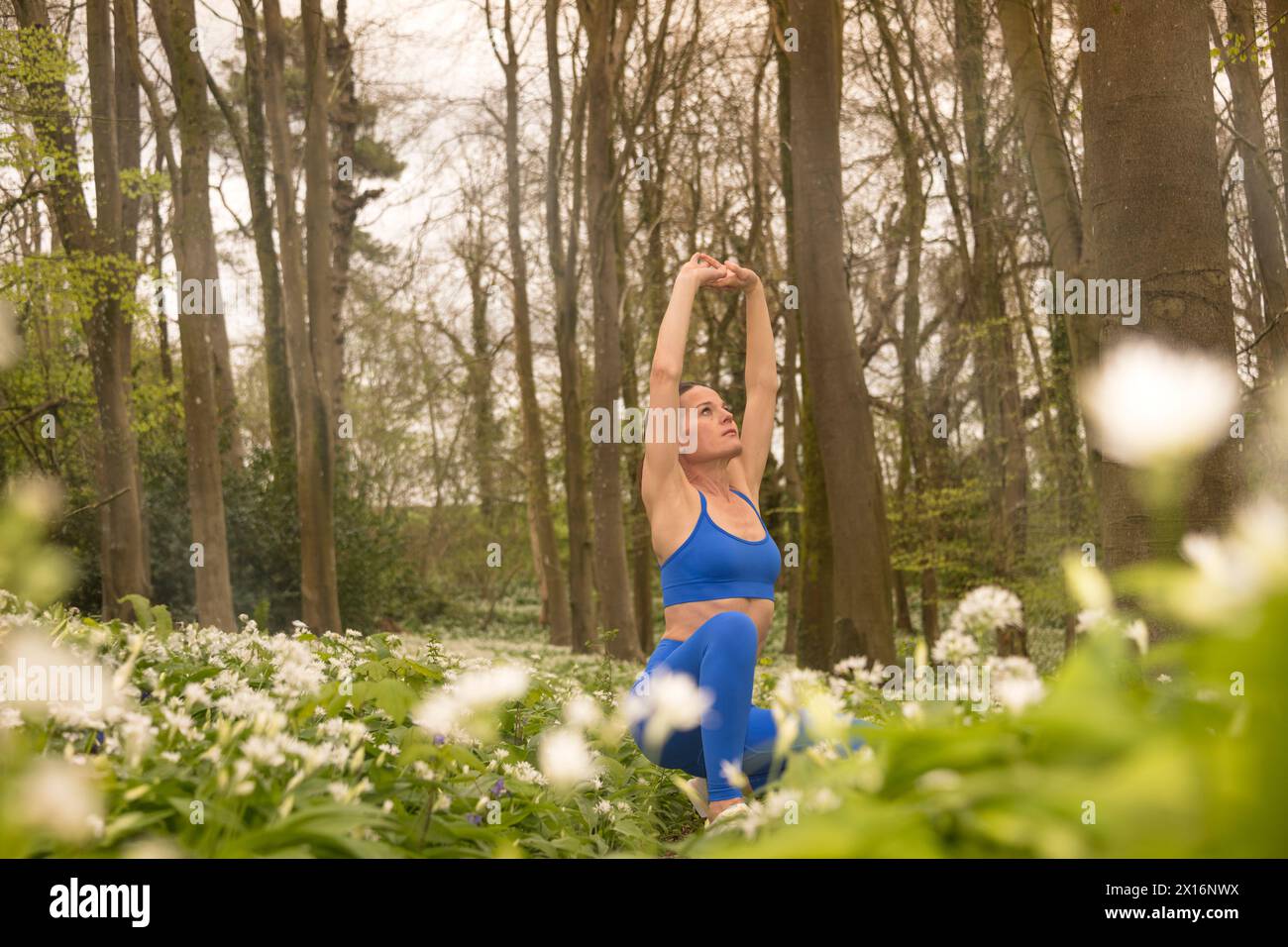 Yoga flowers hi-res stock photography and images - Alamy