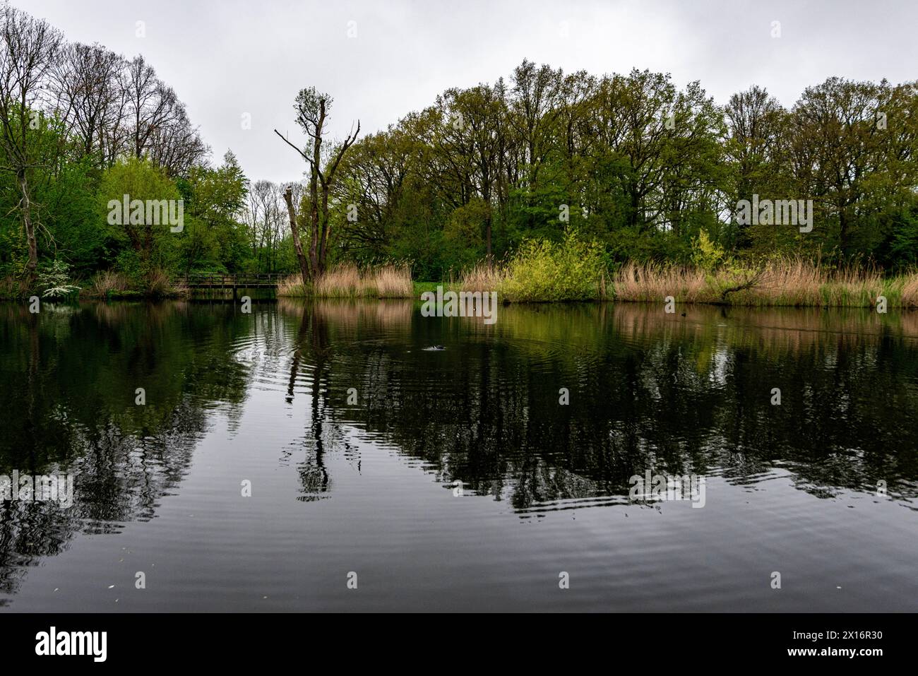 Larger lake hi-res stock photography and images - Alamy