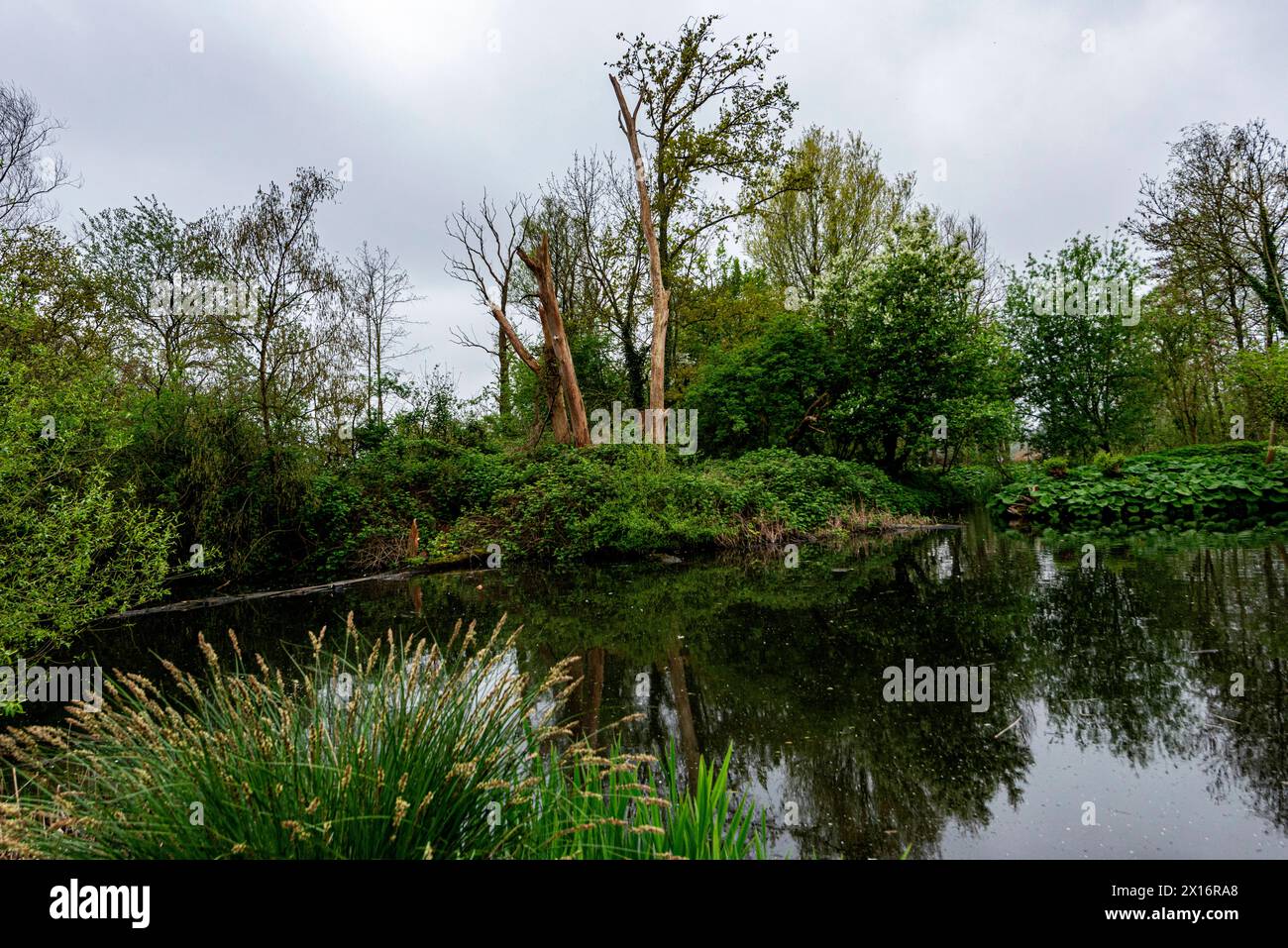 Walk Around Kralingen Lake Urban Nature Reserve around Kralingen Lake ...