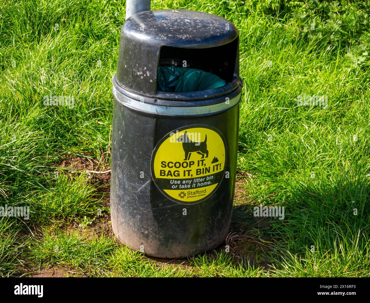 Dog poo waste in rubbish bin hi-res stock photography and images - Alamy