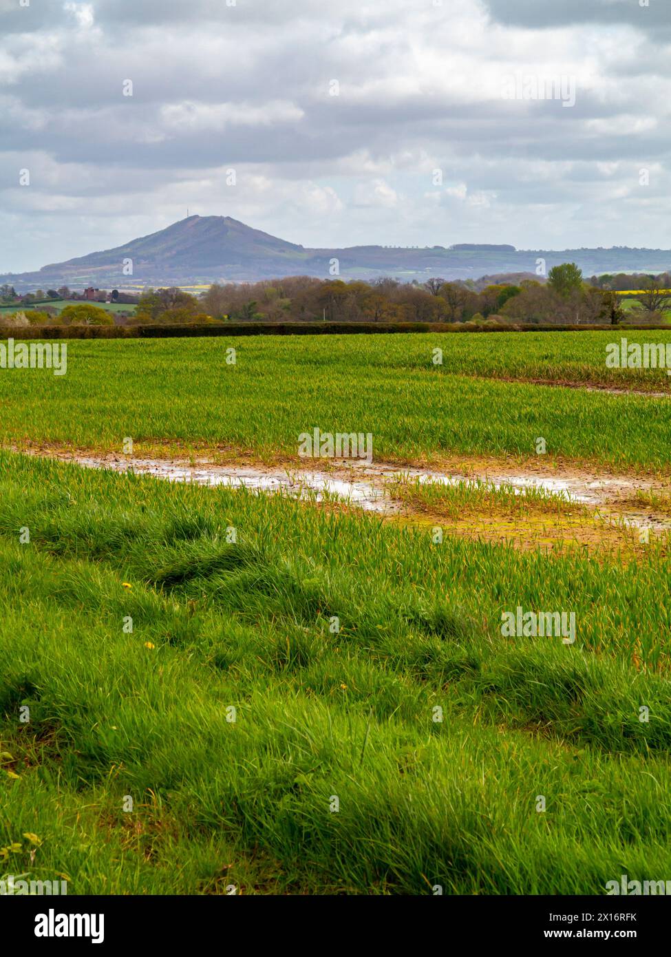 View overlooking waterlogged fields towards The Wrekin in Shropshire ...