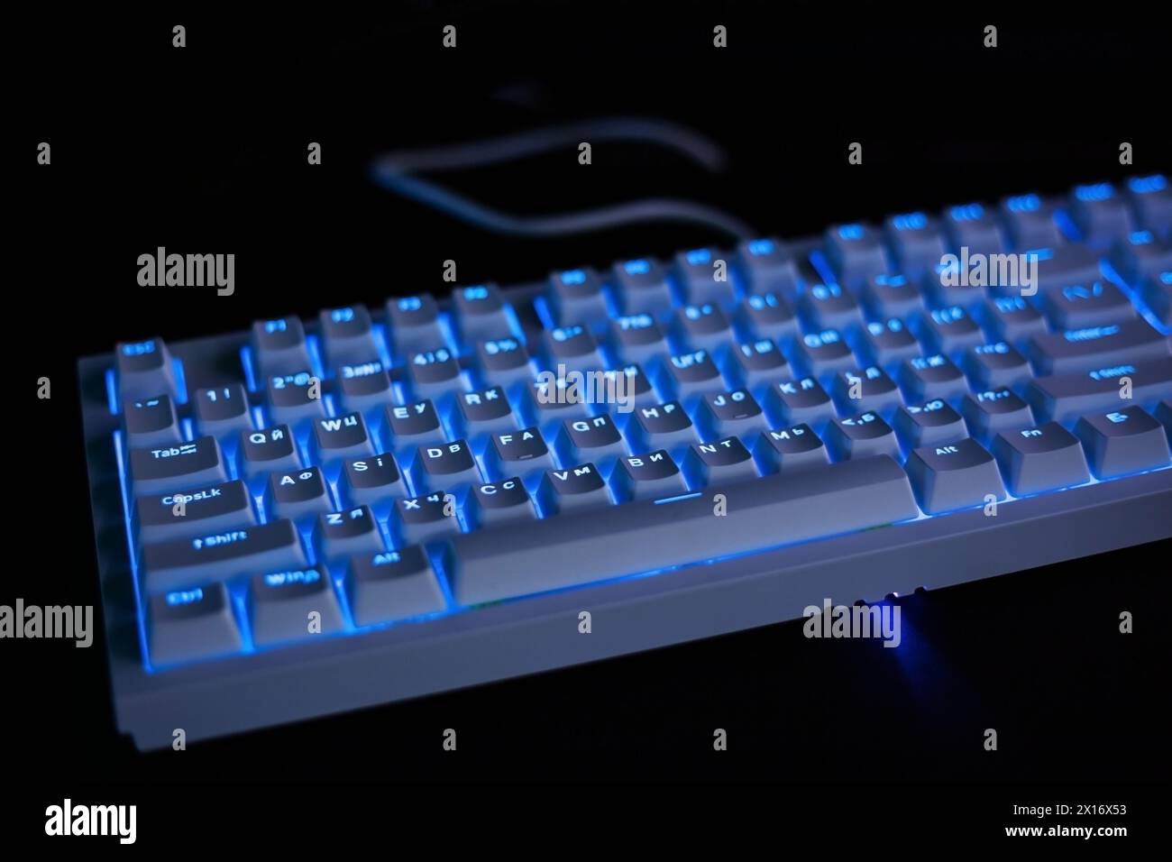 Professional gamer ; neon hi-res stock photography and images - Alamy