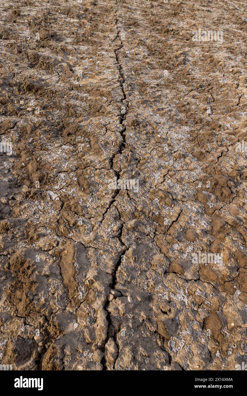 frozen plowed soil in the field in cracks, cracks and fractures on the ...