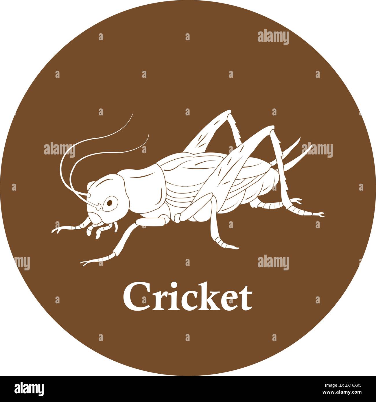 Cricket vector icon illustration simple design Stock Vector Image & Art ...