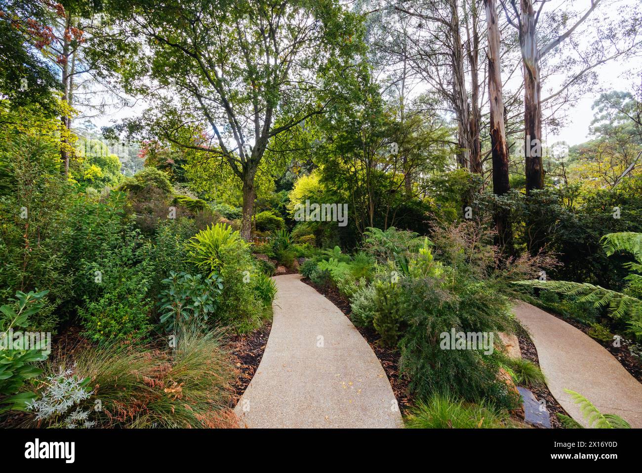 Dandenong Ranges Botanic Garden in Olinda Australia Stock Photo - Alamy
