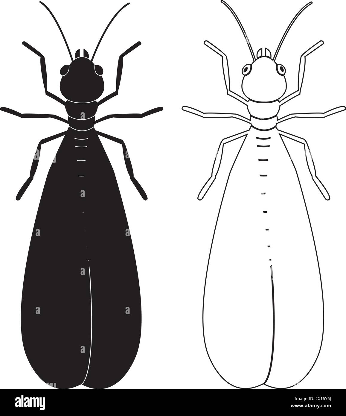 Termite species Cut Out Stock Images & Pictures - Alamy