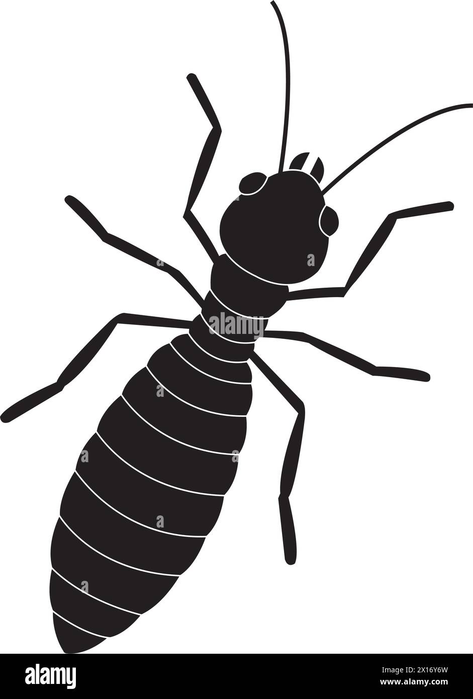Termite species Cut Out Stock Images & Pictures - Alamy
