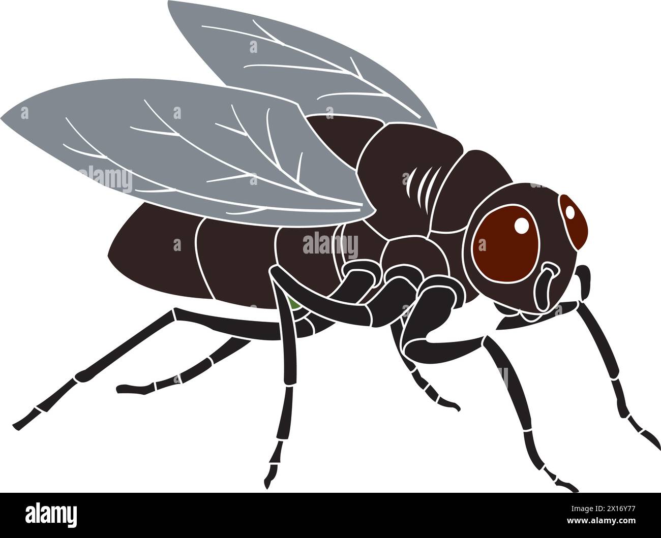 fly icon vector illustration symbol design Stock Vector Image & Art - Alamy