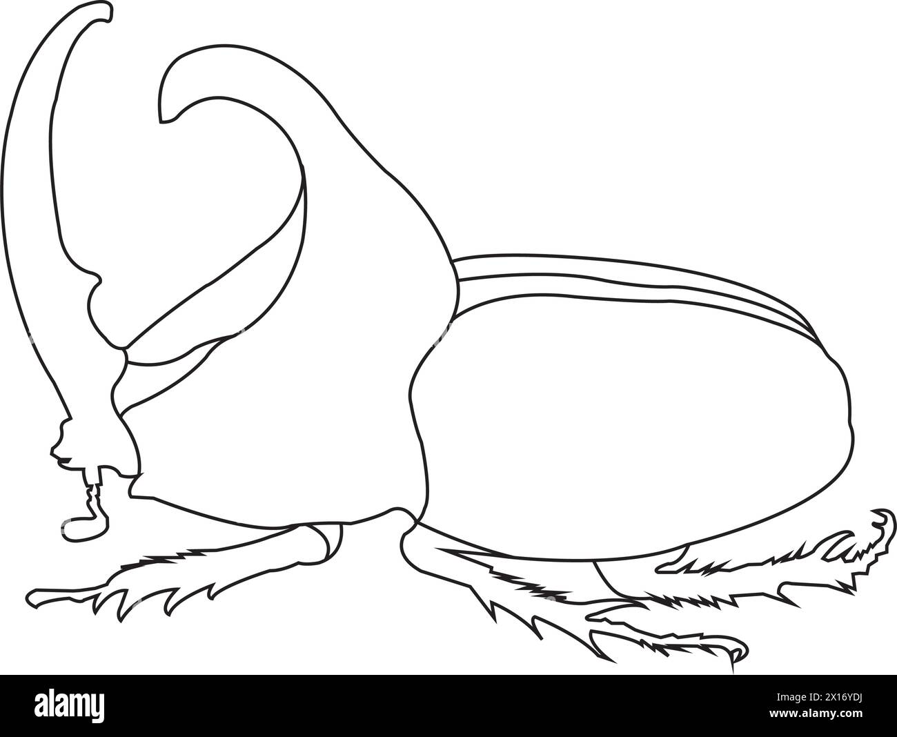 Drawing of egyptian scarab beetle hi-res stock photography and images ...