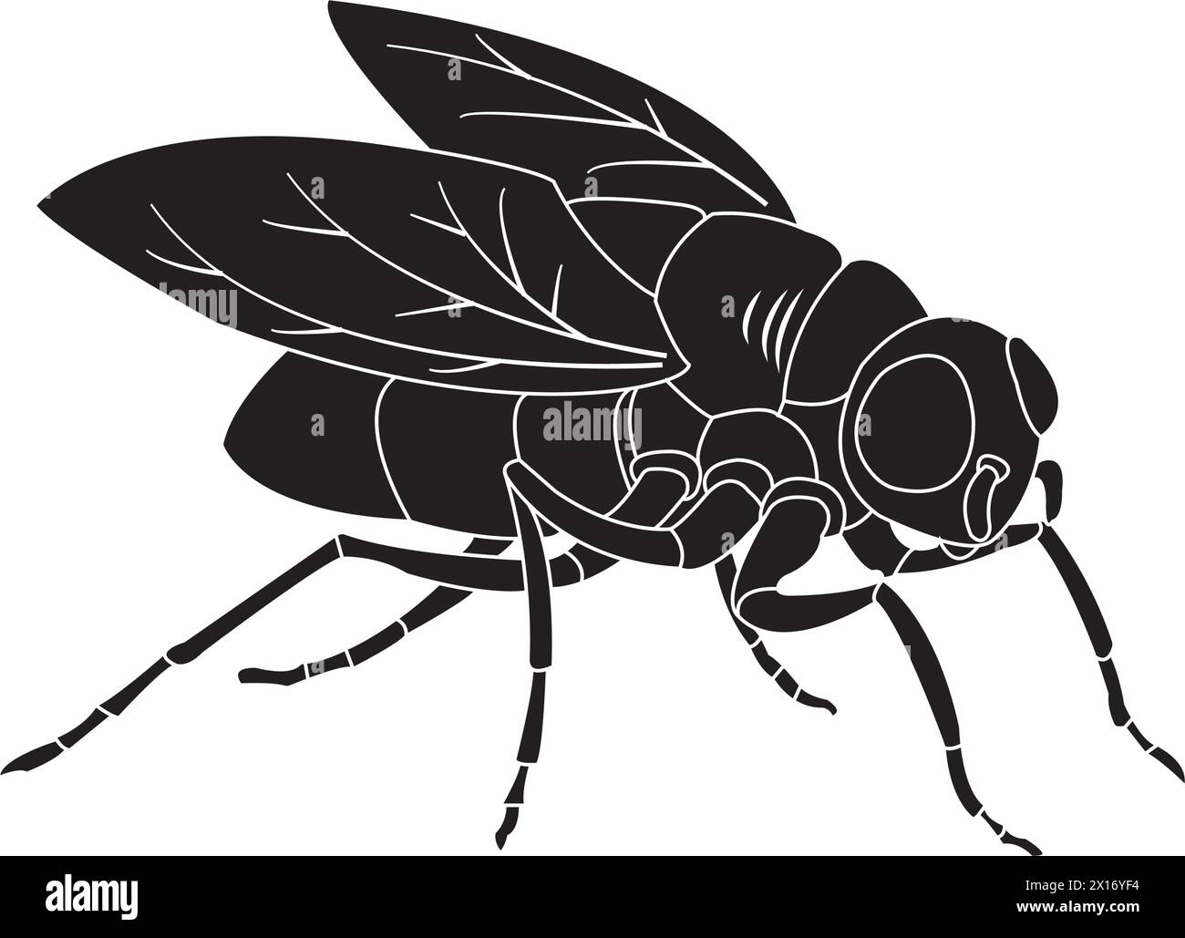 fly icon vector illustration symbol design Stock Vector Image & Art - Alamy