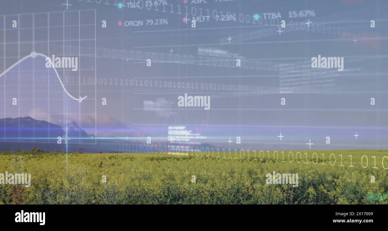 Image of stock market and data processing over field Stock Photo - Alamy
