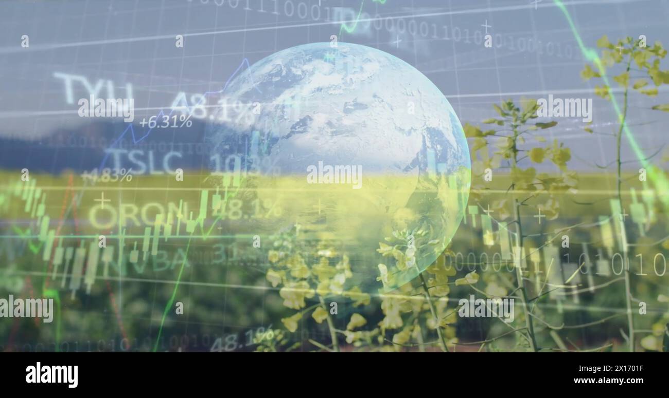 Image of diagrams and data processing with globe over field Stock Photo ...
