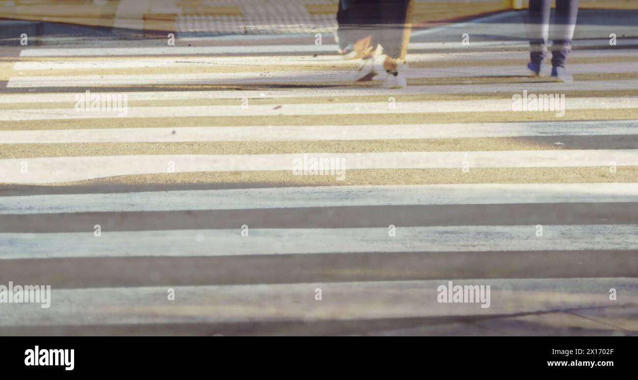 Image of commuters walking on zebra crossing on busy city street in ...