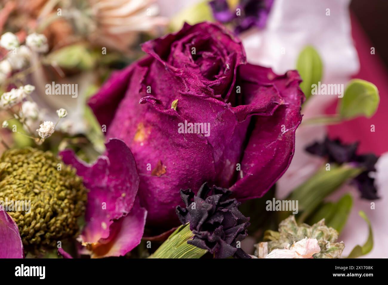 different dried flowers in a bouquet, an old dried bouquet for a gift ...