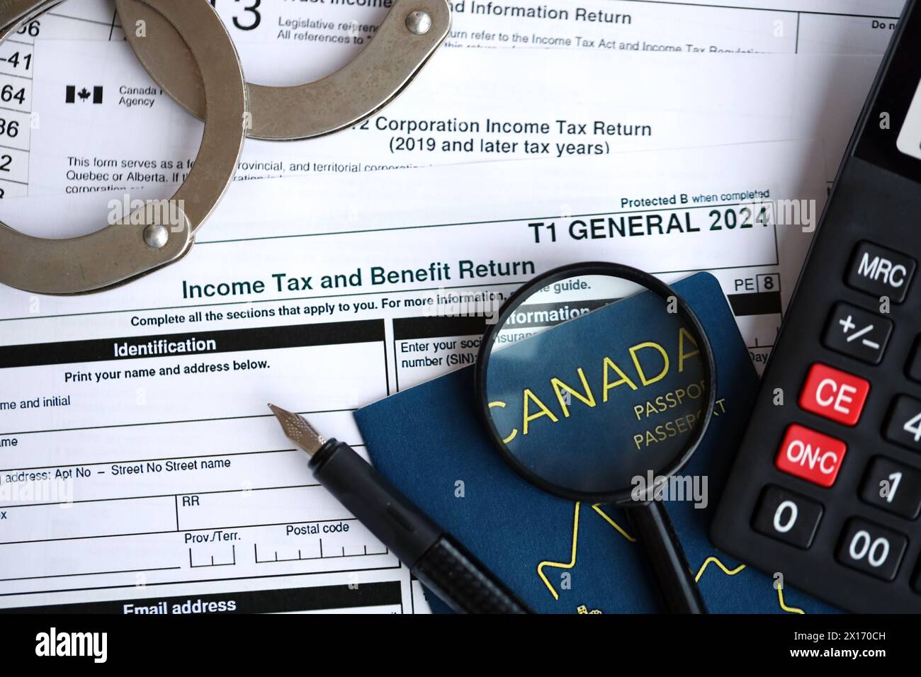 Concept of problems and troubles during tax reporting and taxpaying in ...