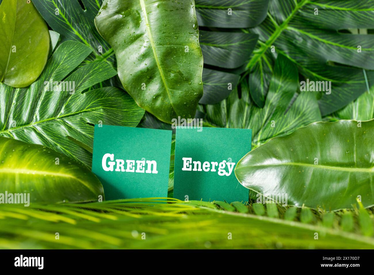 Beautiful expressive white inscription Green Energy among jungle ...